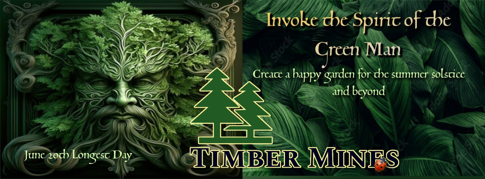 Home | TimberMines Ltd Timber Merchants